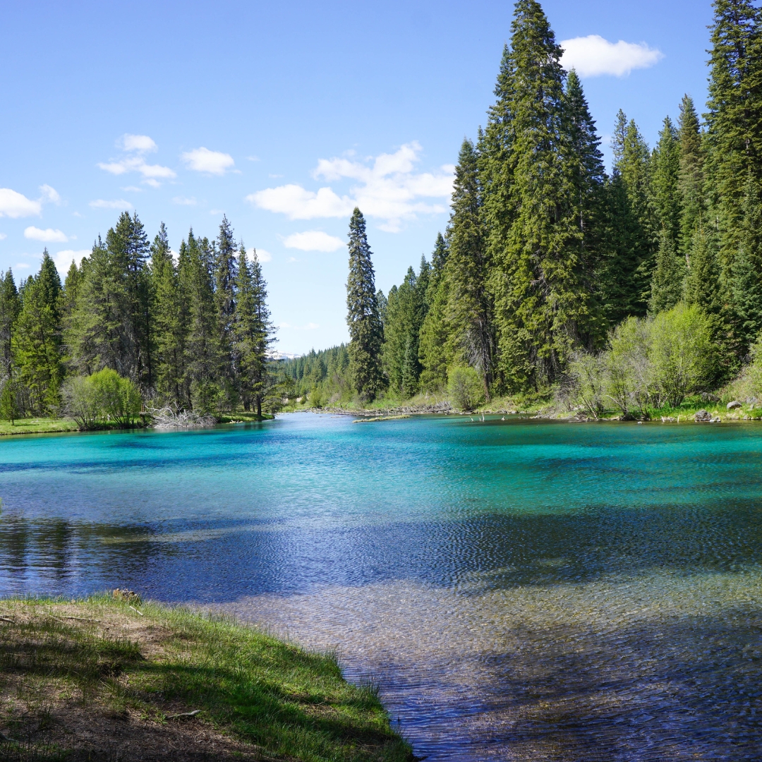 Wastewater Lagoon Repair and Refurbishment - 9 Facts to Know