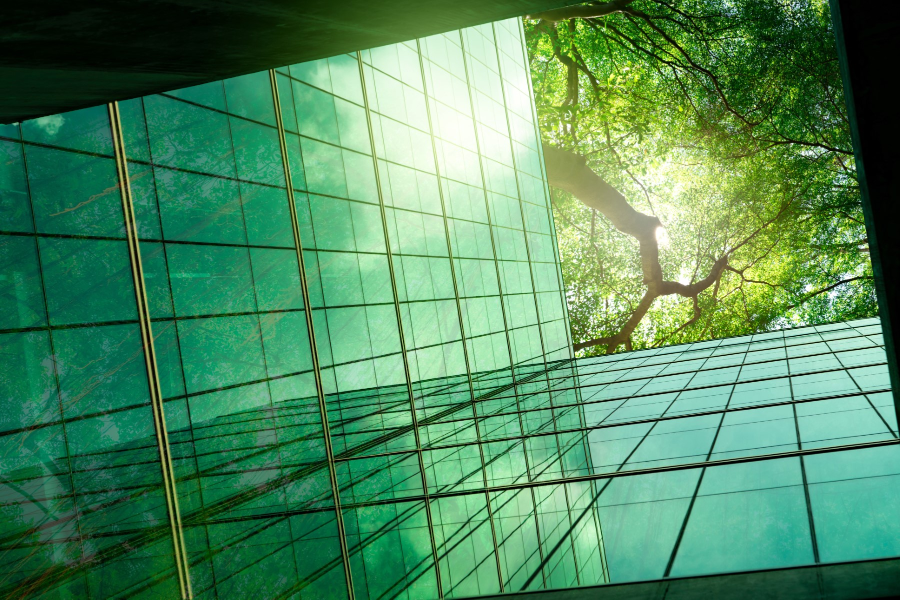 Navigating the Rapidly Changing World of Climate-Related Disclosures - 1 Navigating the Rapidly Changing World of Climate-Related Disclosures - 1