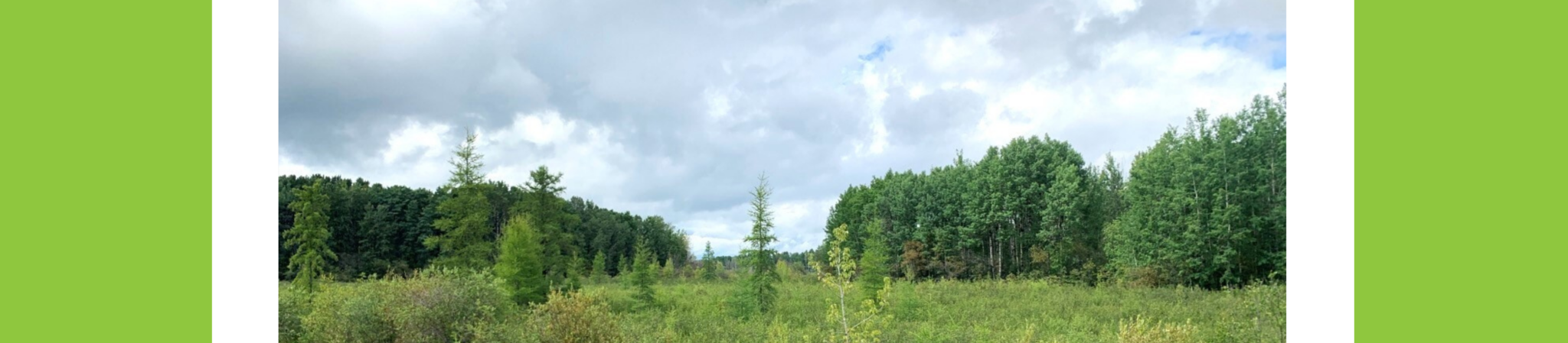 Trans Mountain Expansion Project (TMEP) - Montrose Environmental