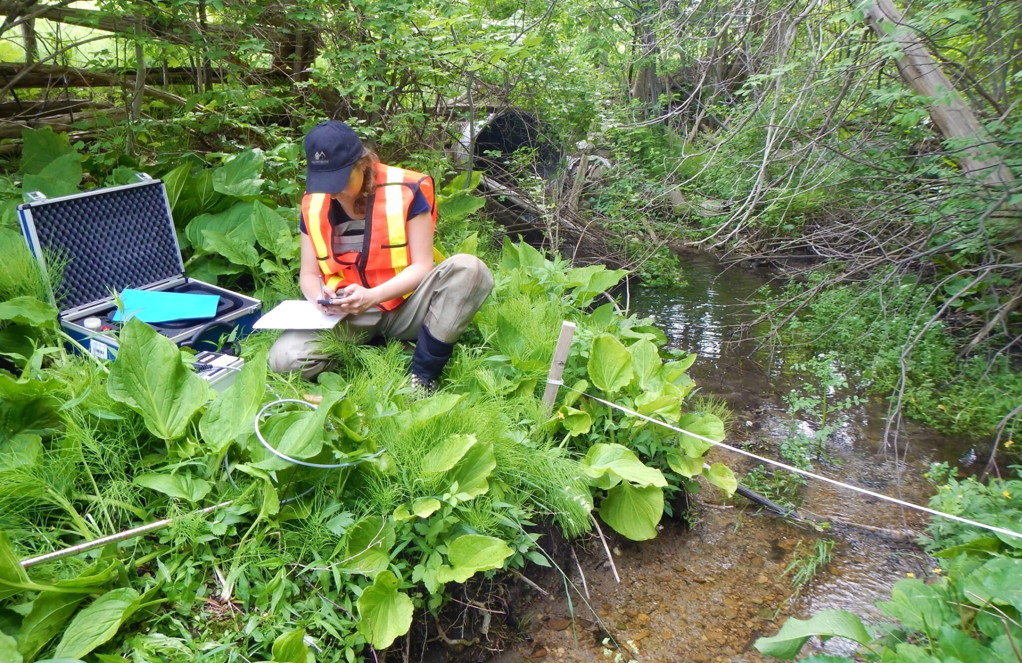 Montrose Environmental in Canada